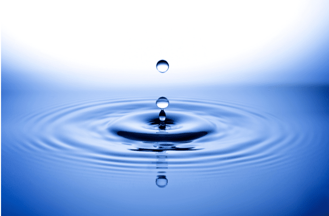 What's in Your Water?